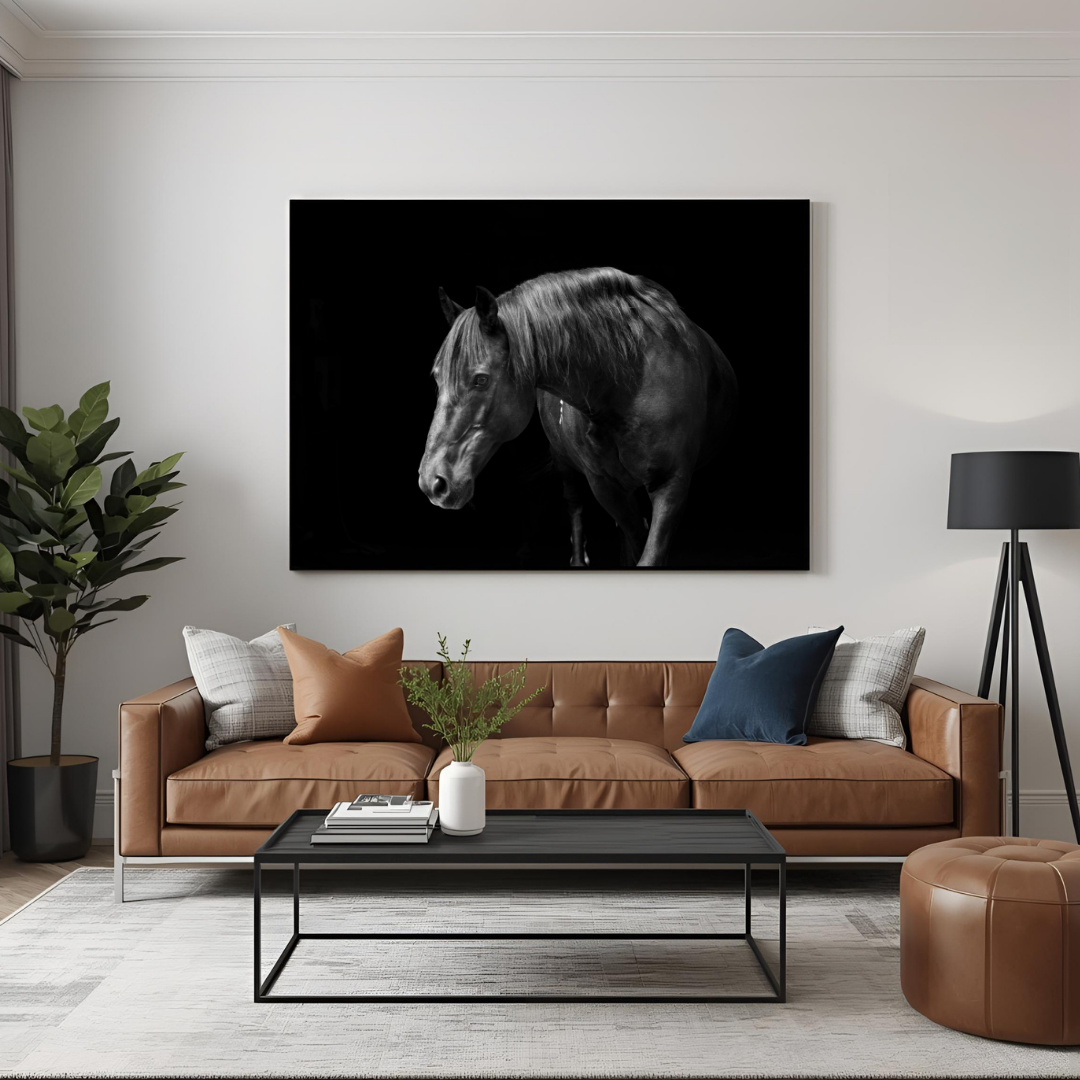 Absolute Power – Tonic Equestrian